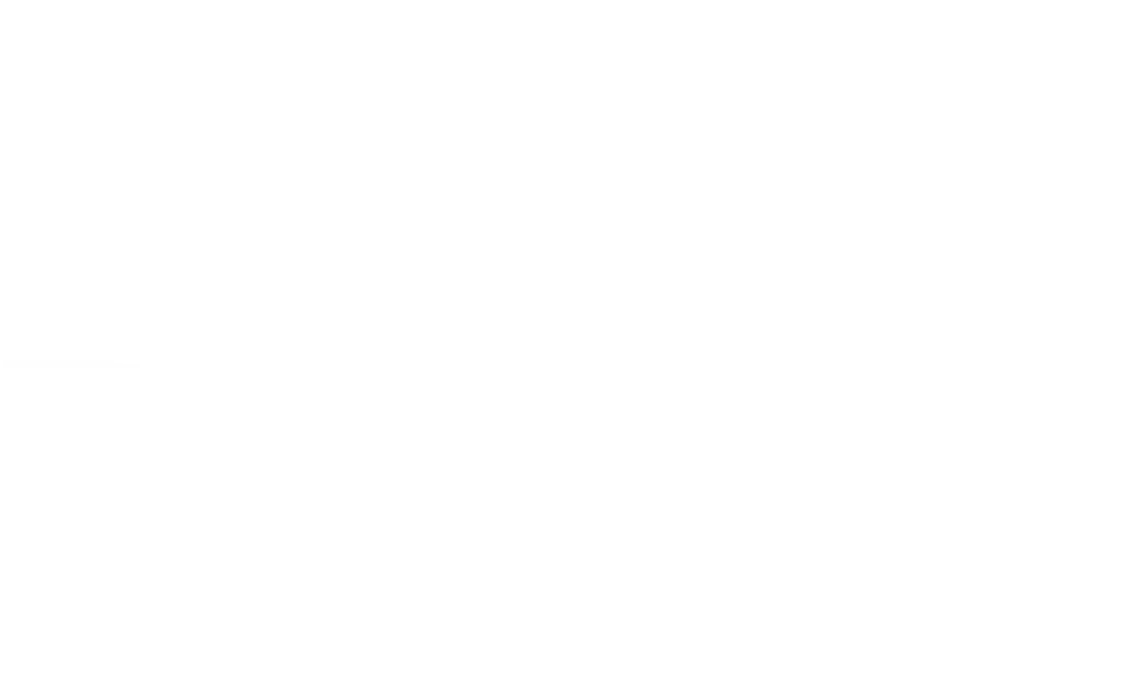 Rauen Capital